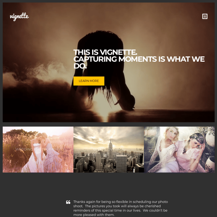 CSS Igniter Vignette Photography WordPress Theme v1.9.1 | GPL Vault