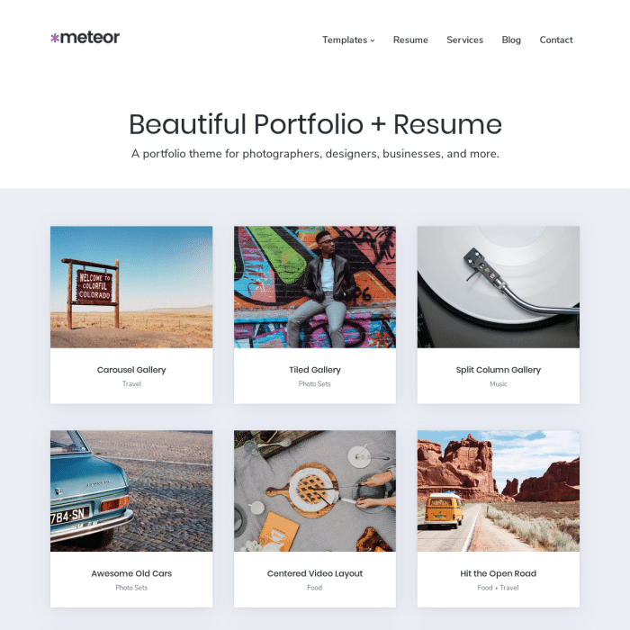 Array Themes Meteor Wordpress Theme V116 Gpl Vault